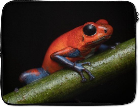 Laptophoes 15 inch - Kikker - Rood - Tak - Laptop sleeve | bol.com