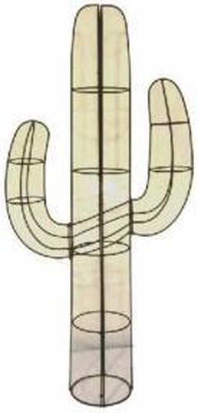 Topiary Cactus - Frame | bol.com
