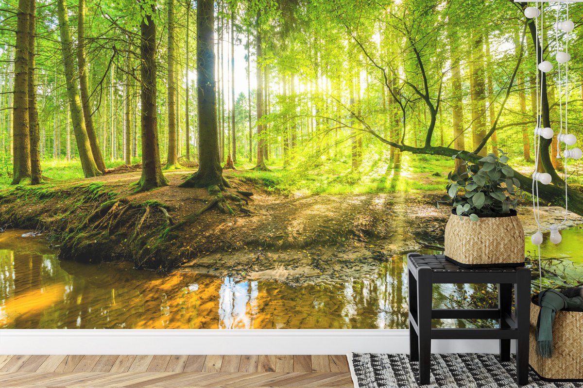 Fotobehang Prachtig Boslandschap In Het Voorjaar In 3D Effect | bol.com