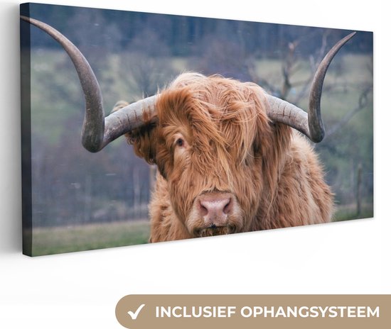 Canvas Schilderij Schotse Hooglander - Koeienkop - Landschap - Natuur ...