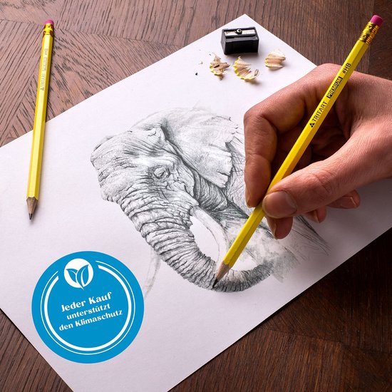 Tritart Potloden | 160 potloden met HB vulling + gum | HB potloodset ...