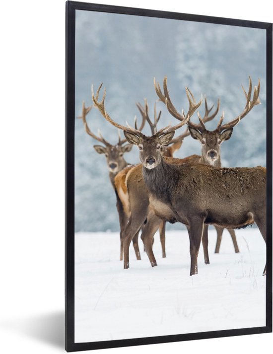 Fotolijst - Poster - Herten - Winter - Dieren - Natuur - Kader - 40x60 ...