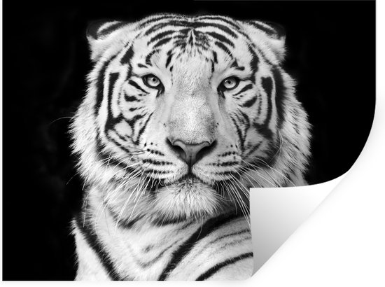 Muurstickers - Sticker Folie - Tijger - Zwart - Wit - Portret - Dieren - 160x120 cm -... | bol