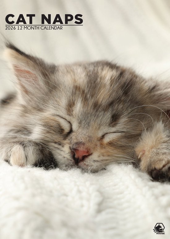 Cat Naps A3 Kalendar 2026 | bol