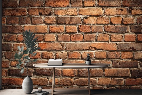 Naadloos behang Fotobehang - Urban Rustic Brick Wall Mural - 250x50 ...