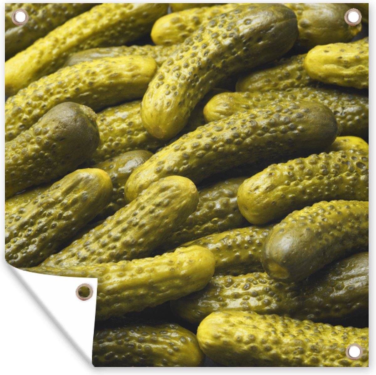 Tuin poster Augurken op een hoop - 200x200 cm | bol.com