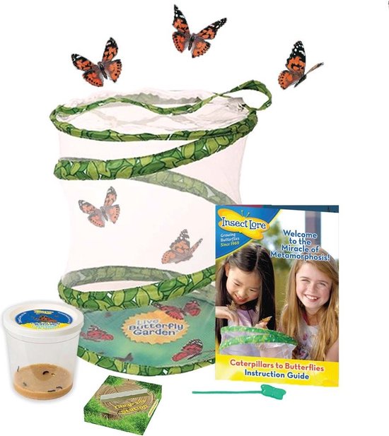Insect Lore - Butterfly Garden (60099) /Educational and Learning Toys ...