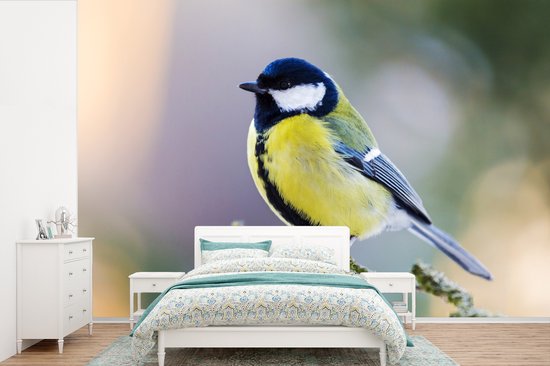 Behang - Fotobehang Koolmees - Vogel - Tak - Breedte 330 cm x hoogte ...