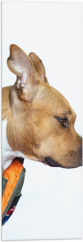 Vlag - Bruin met Witte Hond in Groen Bomberjack op Witte Achtergrond ...
