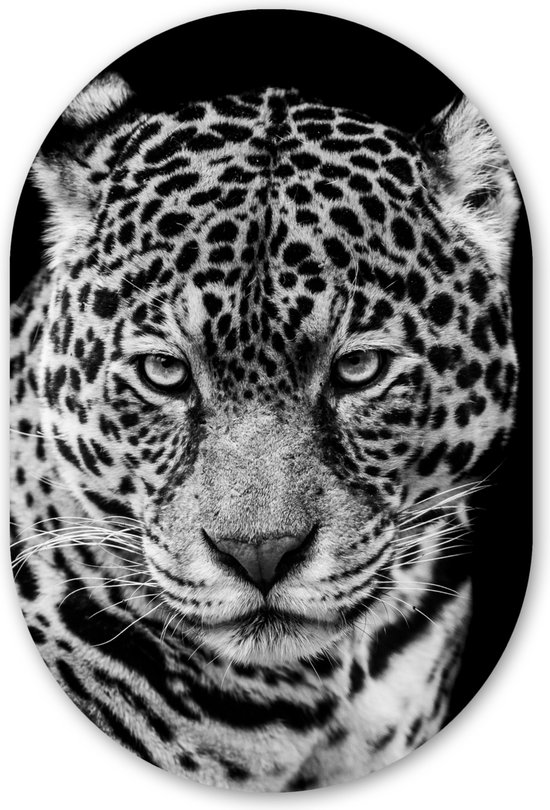 Wall Oval - Décoration murale Plastique - Tableau Ovale - Léopard ...