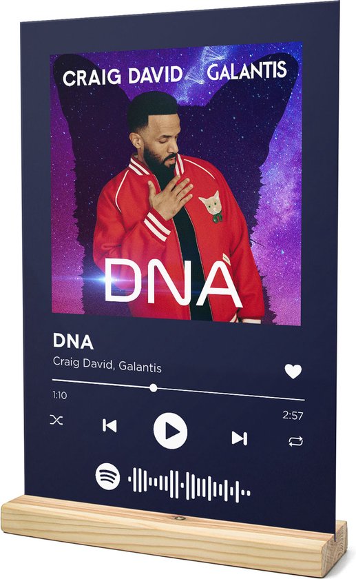Songr Spotify Plaat - DNA - Craig David, Galantis - 20x30 - Blauw ...