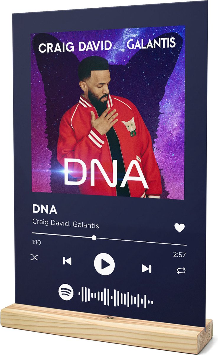 Songr Spotify Plaat - DNA - Craig David, Galantis - 20x30 - Blauw ...