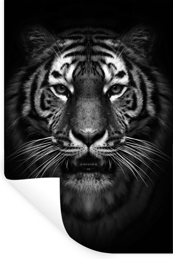 Muurstickers - Sticker Folie - Tijger - Dieren - Zwart - Wit - Portret - Wild - 40x60... | bol