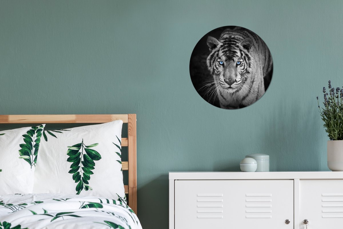 Behangcirkel - Zelfklevend behang - Dieren - Tijger - Ogen - Blauw - 30x30 cm -... | bol.com