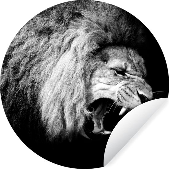 Behangcirkel - Zelfklevend behang - Dieren - Leeuw - Zwart - Wit - 100x100 cm -... | bol.com