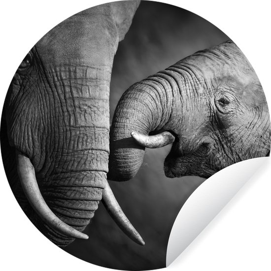 Behangcirkel - Zelfklevend behang - Wilde dieren - Olifanten - Zwart - Wit - 120x120... | bol.com