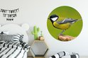 Behangcirkel - Vogel - Koolmees - Groen - Dieren - Zelfklevend behang ...