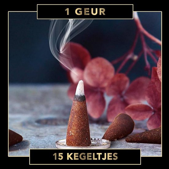 Terugstroom wierookkegels - geur van witte salie - set van 15 stuks | bol