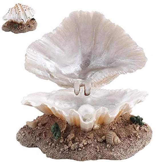 Opvouwbare Schelp Decoratie voor Aquarium – Vis en Garnalen Schuilhuis ...