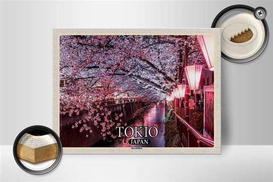 Holzschild Reise 40x30cm Tokio Japan Kirschblüten Bäume Fluss | bol