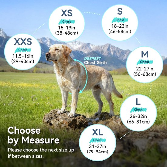 Warme Fleece Hondenjas Roze - Wintervest met Sluiting voor Kleine tot ...