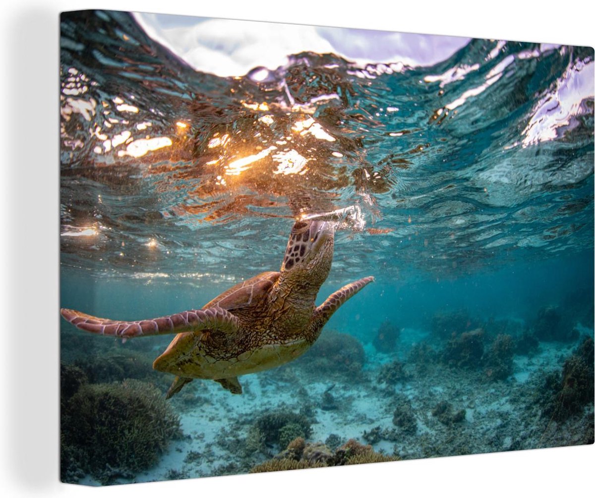 Canvas Schilderij Zee - Schildpad - Kleuren - 150x100 cm - Wanddecoratie | bol.com