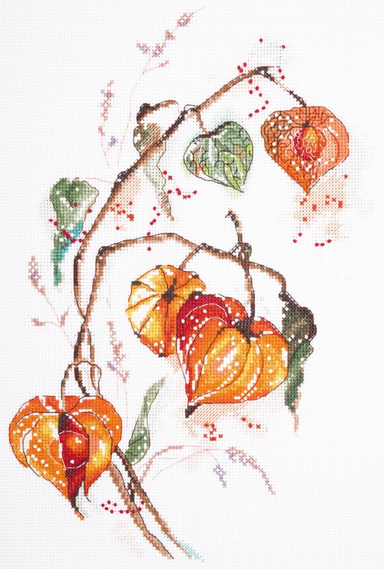 PANNA Borduurpakket Physalis C-1837 - Kruissteek - Borduren voor volwassenen - Aida | bol