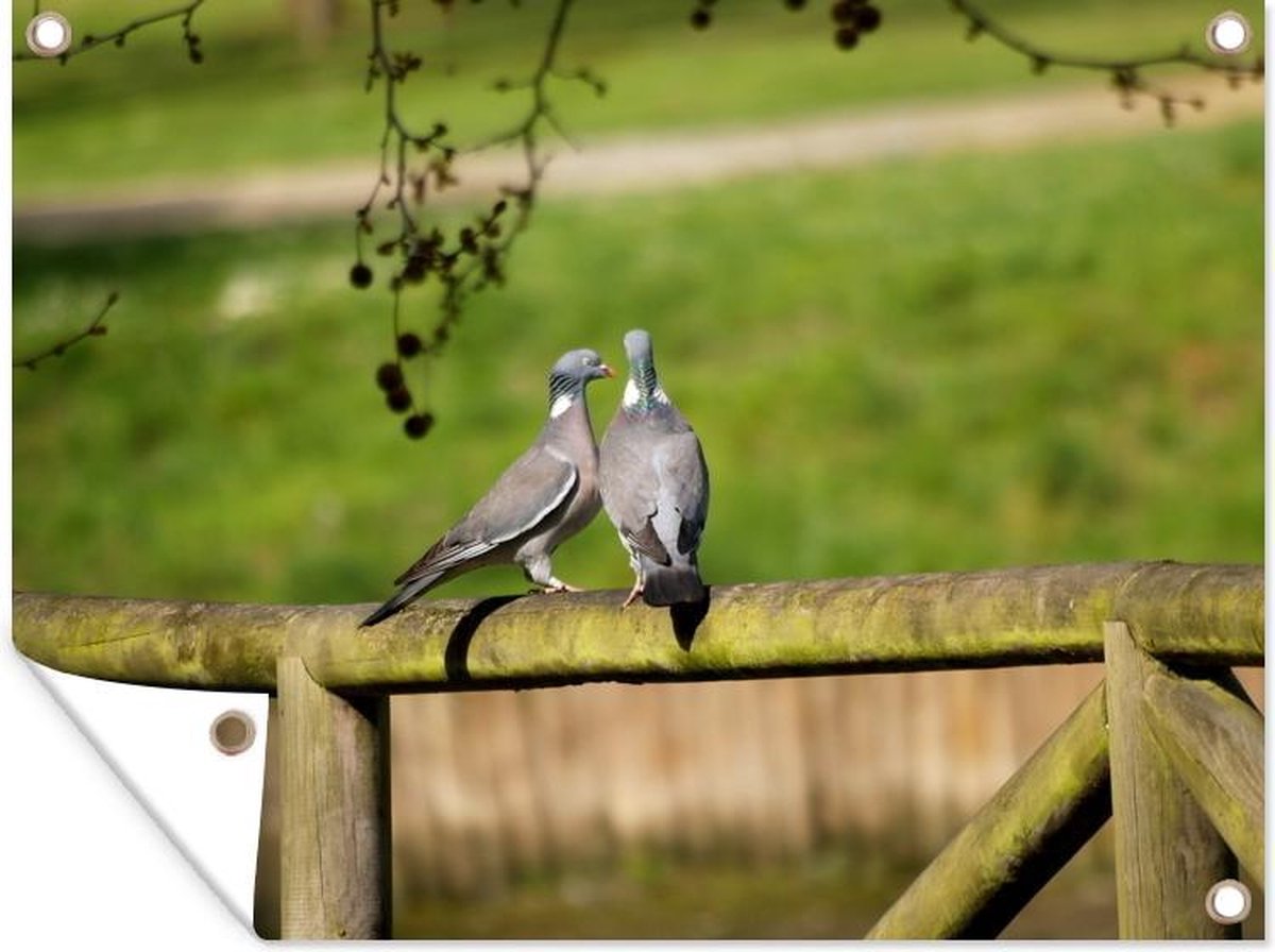 Muurdecoratie buiten Houtduiven - Hek - Vogels - 160x120 cm - Tuindoek ...