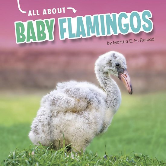 Oh Baby! - All About Baby Flamingos (ebook), Martha E. H. Rustad | 9781663907851 | Boeken | bol.com