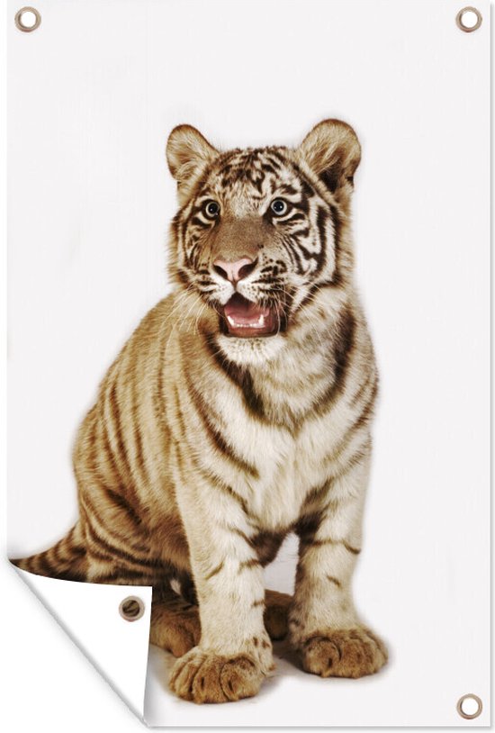 Muurdecoratie Welp - Dier - Tijger - 120x180 cm - Tuinposter - Tuindoek ...