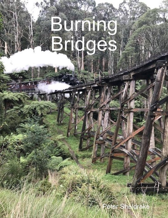 Burning Bridges (ebook), Peter Sheldrake | 9780999392805 | Boeken | bol.com