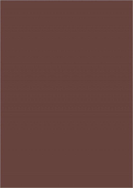Farrow & Ball 2.5L Modern Emulsion Reddish Brown No. W101 | bol
