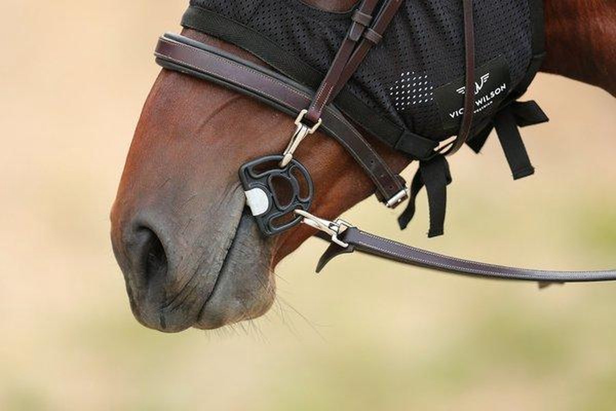 ACAVALLO SENSITIVE BIT | bol.com