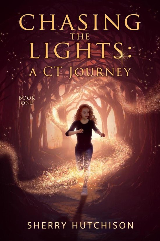 Chasing The Lights Series 1 - Chasing The Lights: A CT Journey, Book 1 ...
