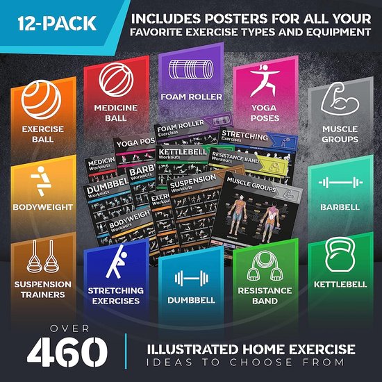 Laminated Large Workout Poster Set - 12 Pack for Home Gym Exercises ...
