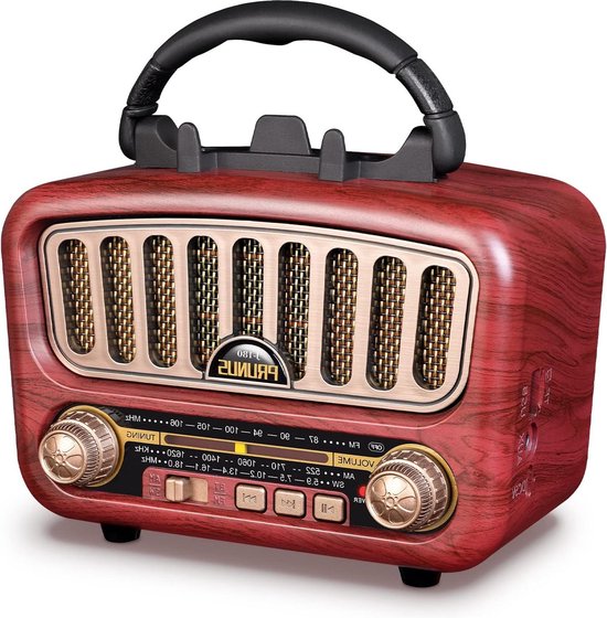 Draagbare AM/FM/SW Radio Bluetooth 5.0 met Grote 5W Luidspreker ...