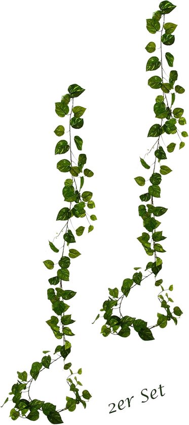 Pothos Ranke slinger, unechter pothos, hangend, kunstplant, bladeren ...