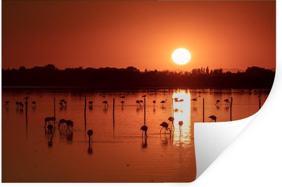 Muursticker Camargue - Coucher de soleil avec flamants roses en Camargue - 120x80 cm -... | bol.com