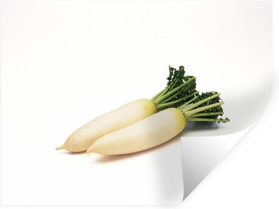 Muursticker Rammenas - Twee witte rammenassen tegenwitte achtergrond ...