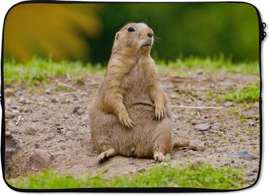 Laptophoes 14 inch - Een Prairiehond zit op de grond tussen het groene ...