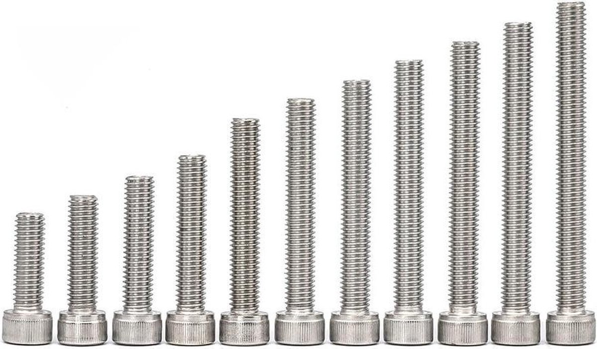 RVS inbusbout met sleutel (m1,6 / m2 / m2,5 / m3 / m4 / m5 / m6) [m6 10 ...
