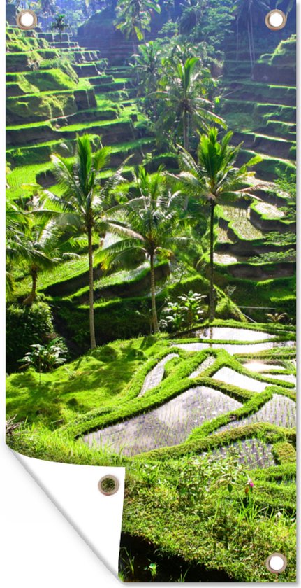 Wanddecoratie buiten Spectaculaire rijstvelden ten noorden van Ubud ...