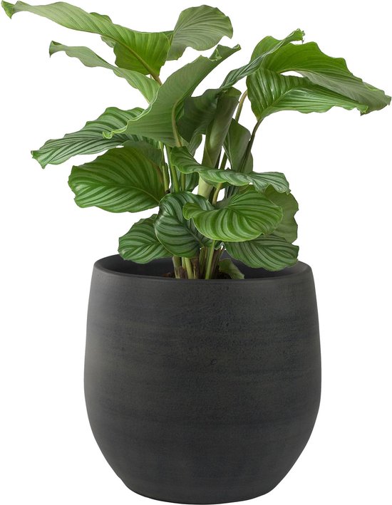 Ter Steege Plantenpot - moderne look - zwart - 36 x 32 cm - bloempot | bol