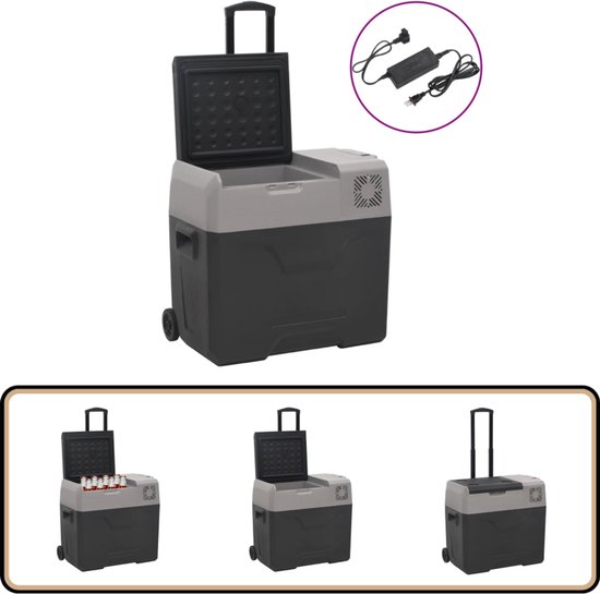 vidaXL Koelbox - 30L - Zwart/Grijs - Met Wielen Draagbare Koelbox ...