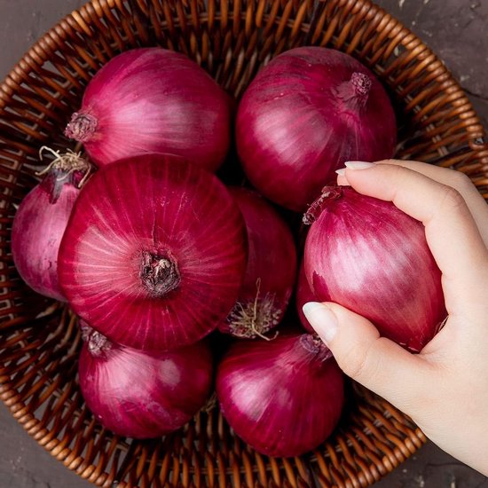 Dutch Bulbs Uit plant - Uibollen - Karmen - Bloembollen - 500 gram ...