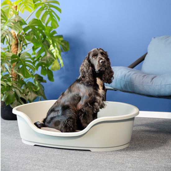 Moderna Plastic Hondenmand - Kattenmand - Kleur: Olive Green ...