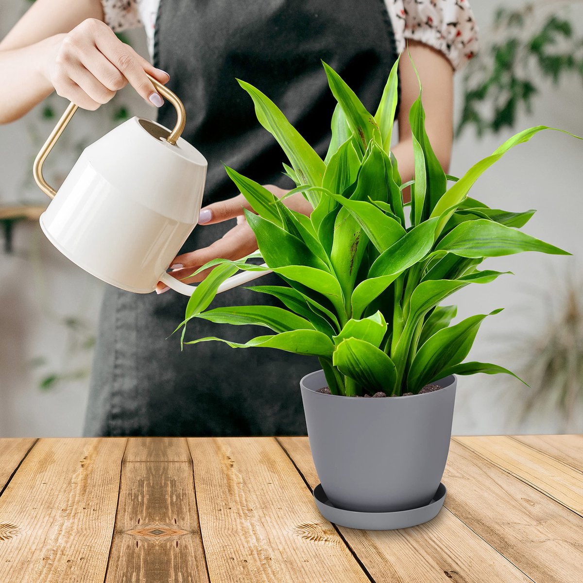 Belle Vous Plastic Planten Potten met Schotels Set (5 Pak) - 12 cm ...