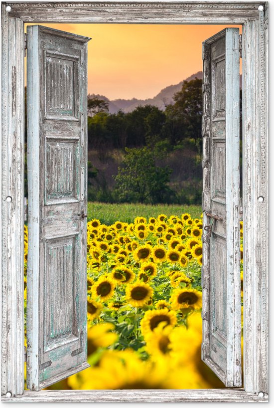 Affiche de jardin - Tournesol - Arbres - Fleurs - Transparent - 80x120 ...