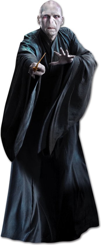 Harry Potter Notecard Lord Voldemort, Onbekend | Dvd's | bol.com