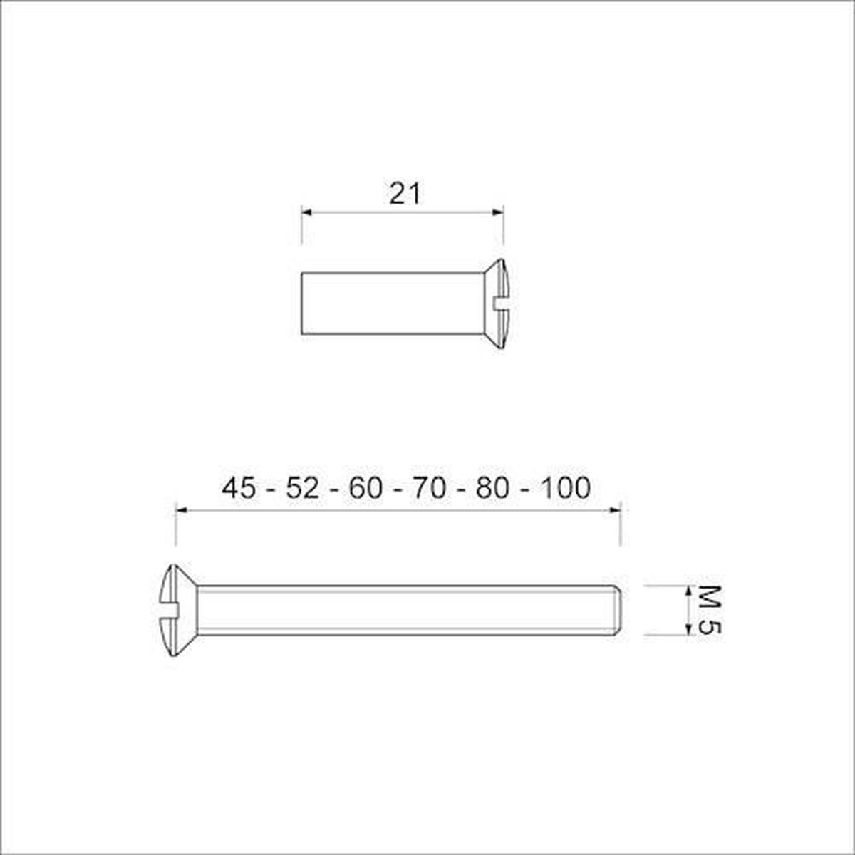 AMI Patentbout M5x80 RVS | bol.com